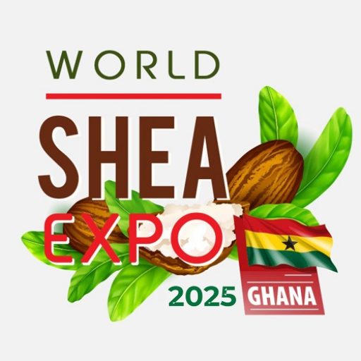 Government targets shea industry growth as Tamale prepares for World ...